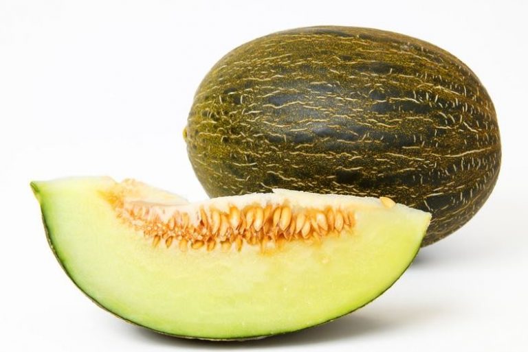 Beneficios que nos ofrece el melón - Agencia Peru